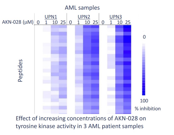 Kinase Activity Profiling Services - Pamgene