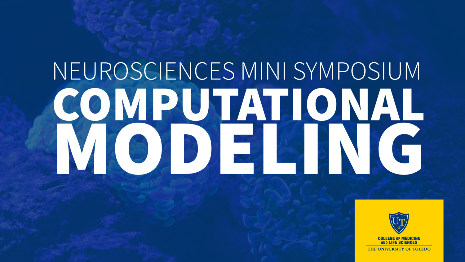 Computational Modeling - mini Symposium - Pamgene Computational Modeling - mini Symposium - Pamgene